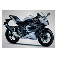 Kawasaki Bajaj Ninja 250 RR Mono | Kawasaki Bajaj Ninja 250 RR Mono ...
