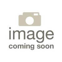 Tata Manza CS Car Colours | 2 Tata Manza CS Colors Available in India